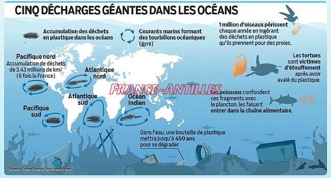 7eme continent – L'ESCALE NAUTIK